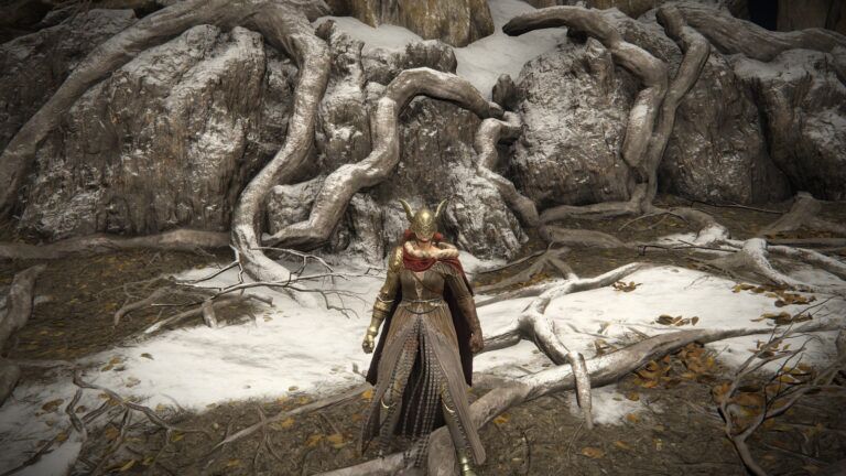 Elden Ring: How To Get Into Raya Lucaria Academy