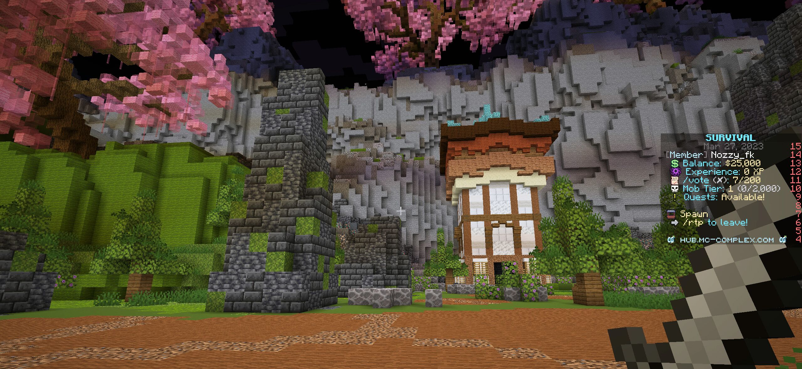 Minecraft SMP: What is it, How to Play, and How to Host