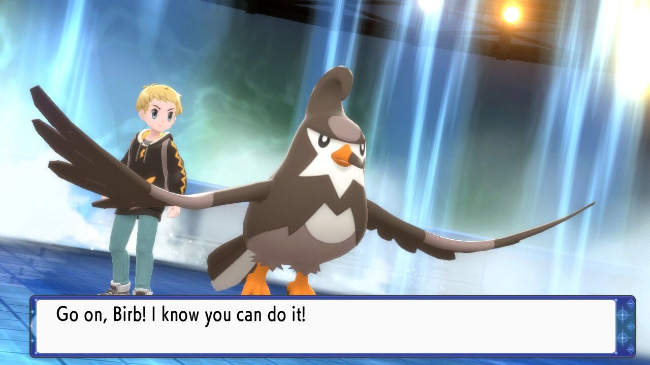 Pokemon Brilliant Diamond and Shining Pearl (BDSP) VS Seeker