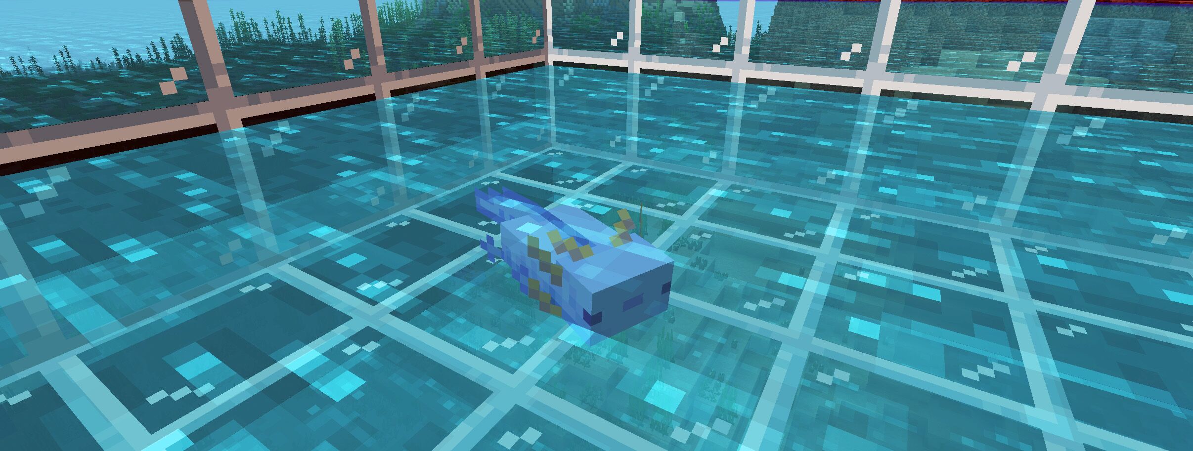 Blue Axolotl Minecraft: Easiest and Best Way to Get One