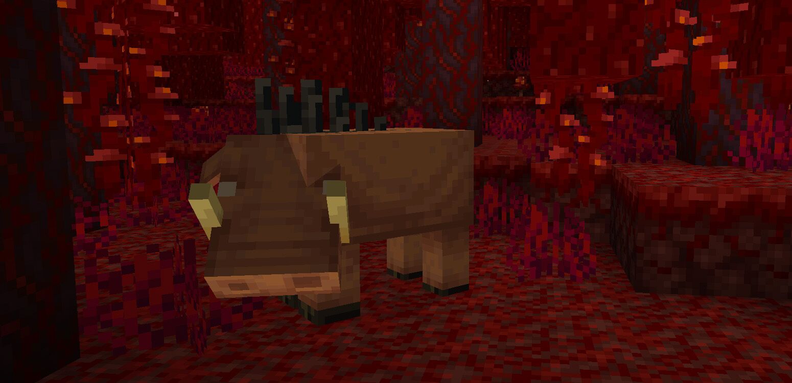 Bastion Minecraft Guide (All Types and Locations, Explained)