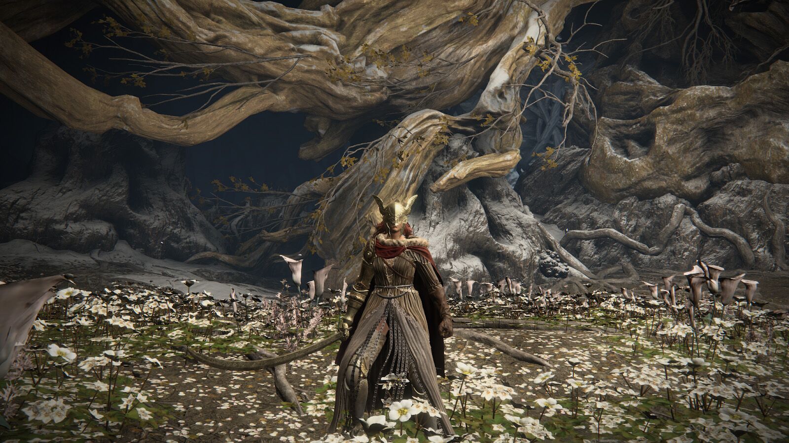 How To Get To Malenia in Elden Ring (Detailed Guide)